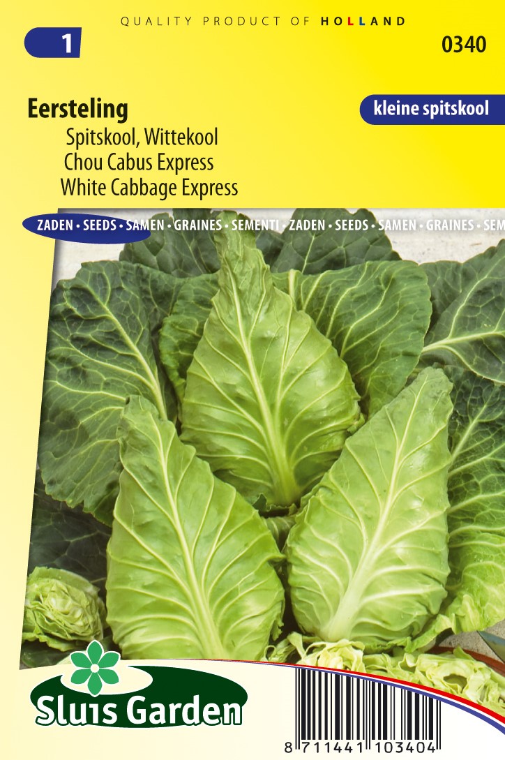 Acheter Chou cabus Express? Commandez en ligne au Jardinerie Koeman