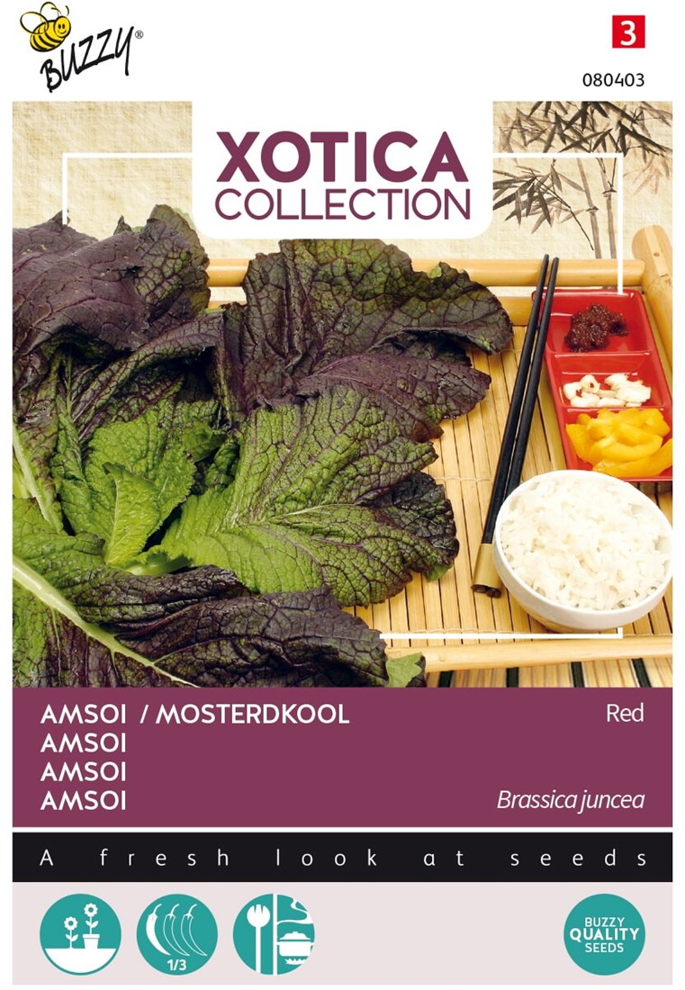Amsoi of Mosterdkool Red - Xotica Collection Jardinerie koeman
