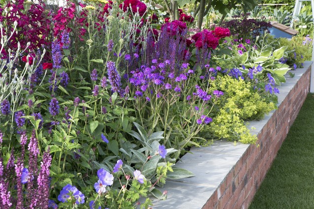 Tuinborder Lang Bloeiende Border Modeste Herwig Jardinerie koeman