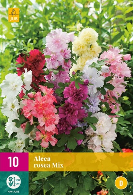 Acheter Alcea Rosea Mix - Rose Trémière? Commandez en ligne au ...