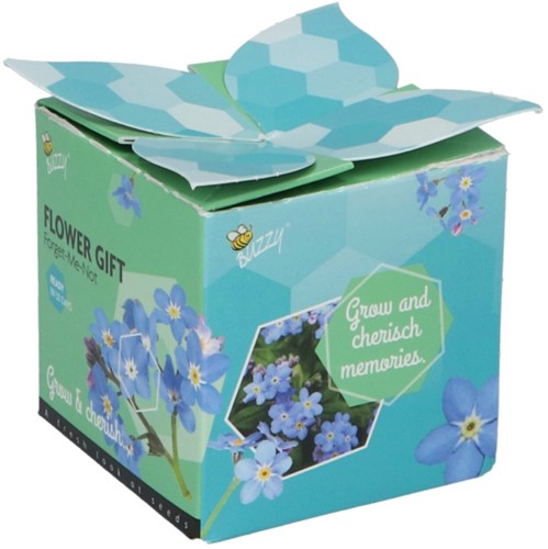 Buzzy Flower Gift (48x) Vergeet me niet - Myosotis (Display 48x ...