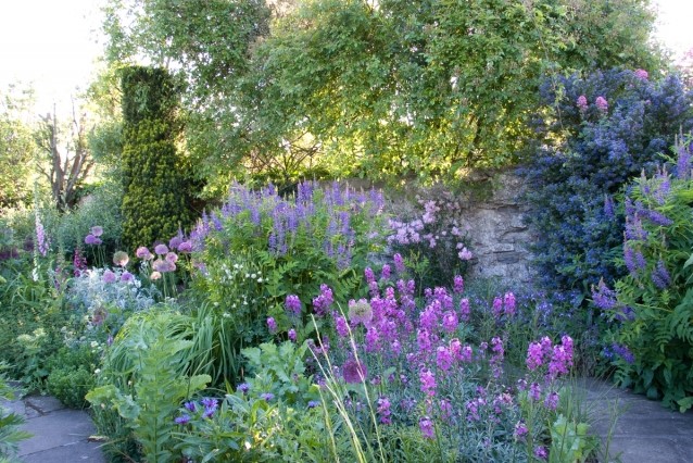 Acheter Plate-bande Romantic Purple (avec une touche rouge / orange ...