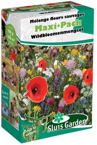 Strooikoker Weidebloemen zaadmengsel WILD - Maxi Pack Sluis Garden ...