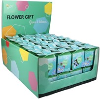 Buzzy Flower Gift (48x) Vergeet me niet - Myosotis (Display 48x ...