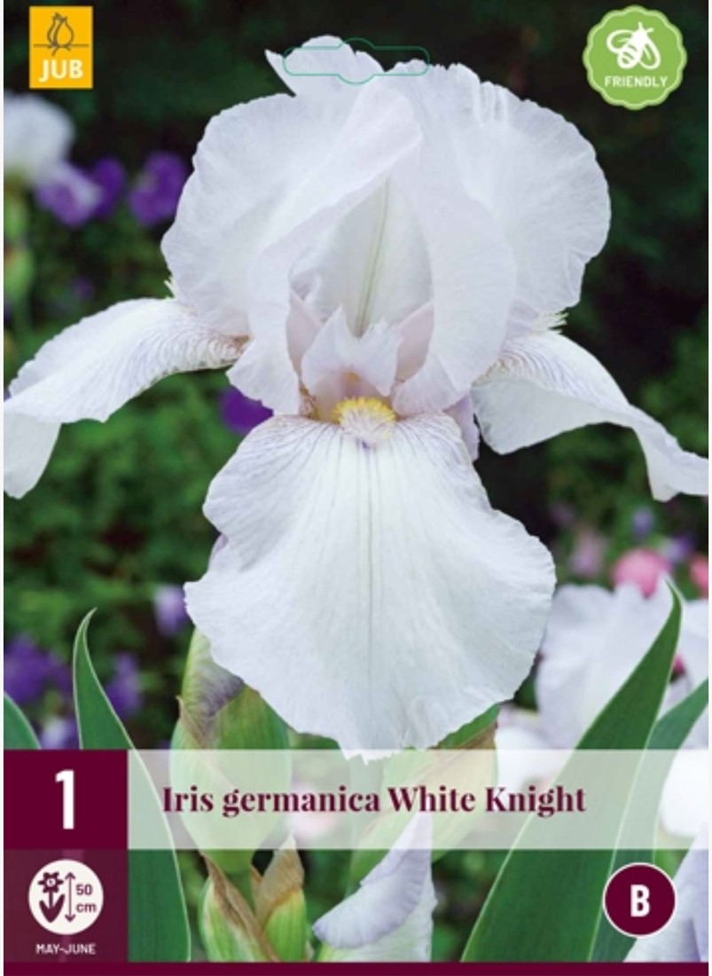 Acheter Iris Germanica White Knight - Iris d'Allemagne? Commandez en ...