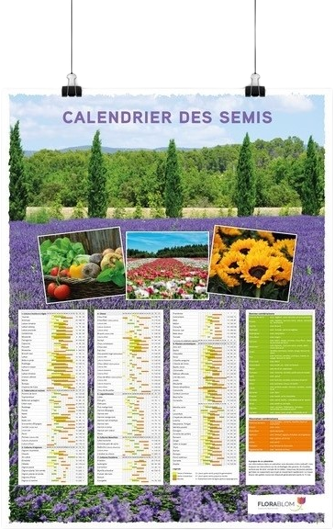 Acheter Poster Calendrier des Semis Français? Commandez en ligne au ...